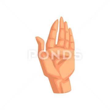 Palm, male body part vector Illustration on a white background: Graphic ...