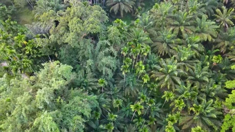 End Of Taken Stock Videos – Royalty-Free HD & 4K Videos