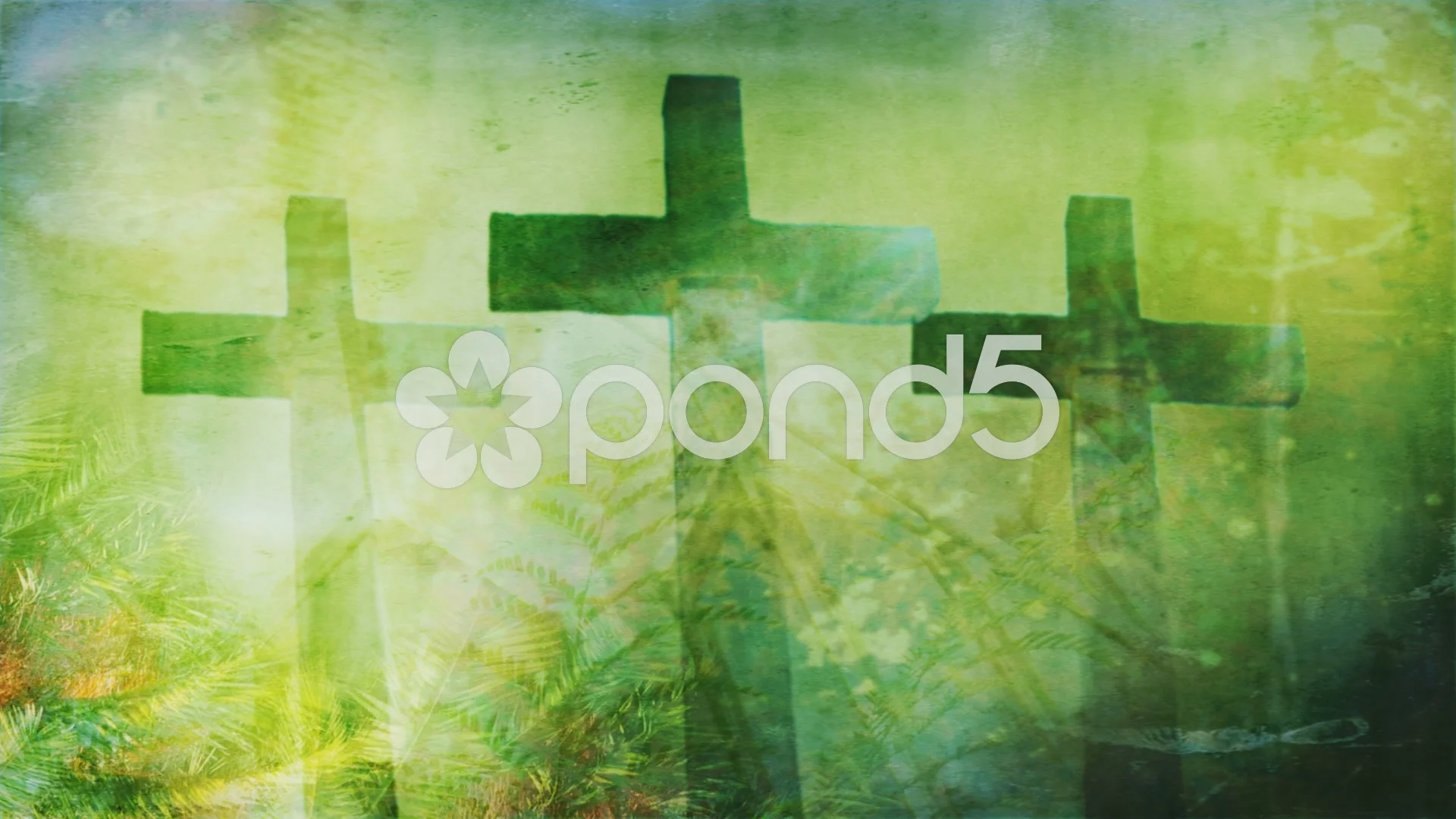 Palm Sunday Background