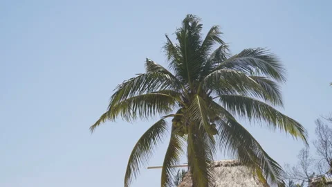 Sky Foot Spa Stock Videos – Royalty-Free HD & 4K Videos | Pond5