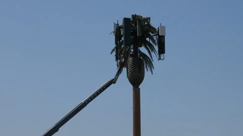 Palm Tree Cell Tower under construction | Stock Video | Pond5