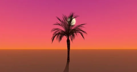 Palm Tree isolated with purple sunny sun... | Stock Video | Pond5