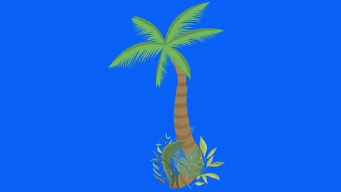 Palm tree moving by wind, chroma key, se... | Stock Video | Pond5