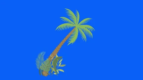 Palm tree moving by wind, chroma key, se... | Stock Video | Pond5