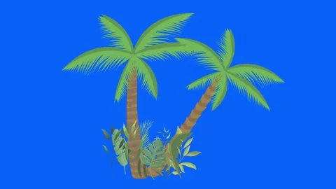 Palm tree moving by wind, chroma key, se... | Stock Video | Pond5