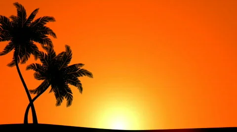 Palm Trees (Animated HD Background) | Stock Video | Pond5