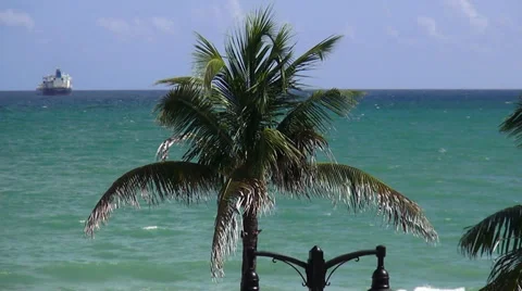 Palm Beach Ft Stock Videos – Royalty-Free HD & 4K Videos