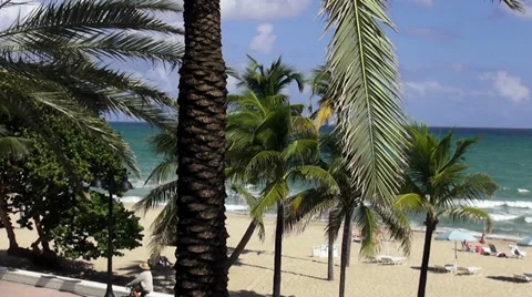 Palm Beach Ft Stock Videos – Royalty-Free HD & 4K Videos