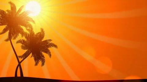 Palm Trees with Sun (Animated HD Backgro... | Stock Video | Pond5