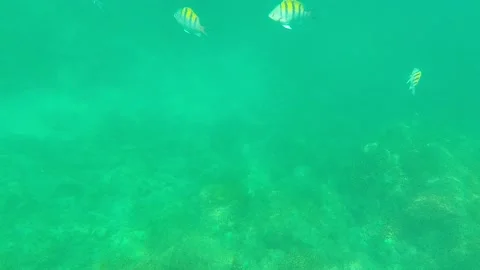 Six Second Video Stock Videos – Royalty-Free HD & 4K Videos