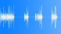 Pam Sound Effects ~ Royalty Free Sound FX of Pam Sounds | Pond5