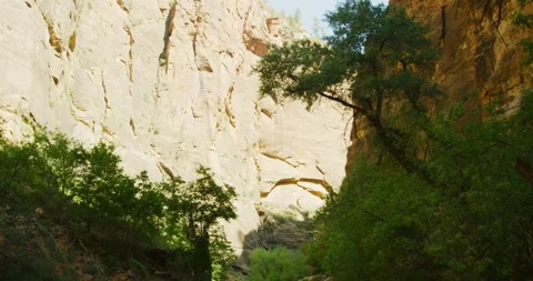 Pan down shot starting from the tip of t... | Stock Video | Pond5