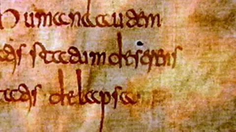Latin Text Stock Videos – Royalty-Free HD & 4K Videos