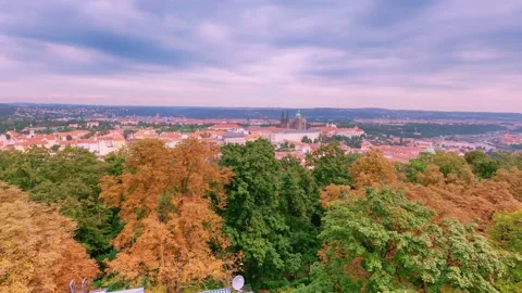 Forest Photo Backdrop Stock Videos – Royalty-Free HD & 4K Videos | Pond5