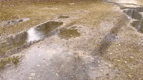 Pan of Puddle of water and rain drop rip... | Stock Video | Pond5