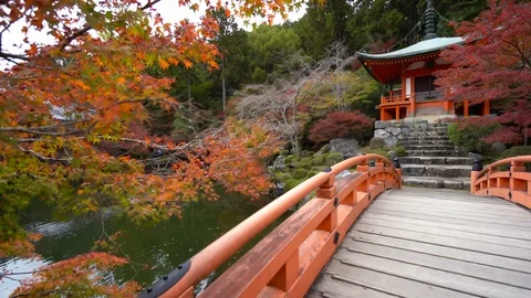 Pan right on from the lake to the bridge... | Stock Video | Pond5