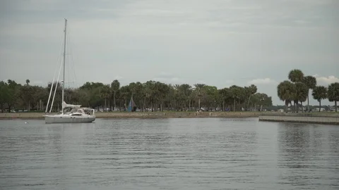 Pan right of a park with palm trees | Stock Video | Pond5