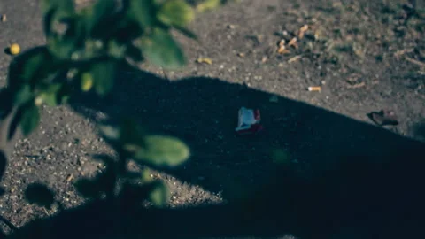 Pan-right shot of a crushed cigarette pa... | Stock Video | Pond5