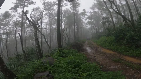 Wet and Wreckless Stock Videos – Royalty-Free HD & 4K Videos