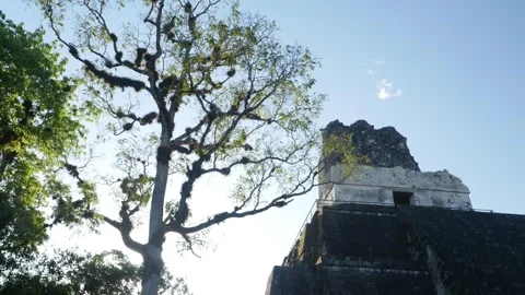Pan to Temple 3 at Mayan Ruins in the Ju... | Stock Video | Pond5
