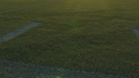 Pan tilt up of football field stadium wi... | Stock Video | Pond5