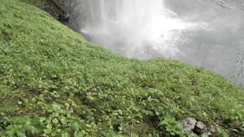 Pan From Vegetation Around a Waterfall P... | Stock Video | Pond5