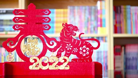 Paper Tiger Stock Videos – Royalty-Free HD & 4K Videos