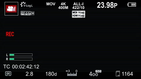Scanline Stock Video Footage | Royalty Free Scanline Videos | Pond5