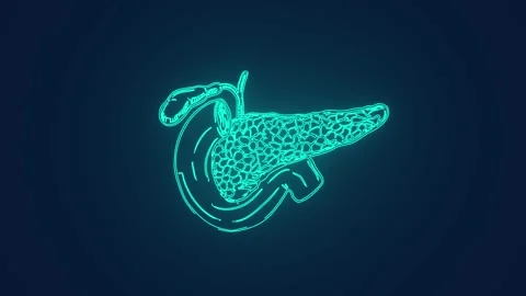 pancreas organ in human body anatomy ani... | Stock Video | Pond5