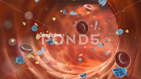 Pancreatic -Cell Electrical Activity and Insulin Secretion: Graphic ...