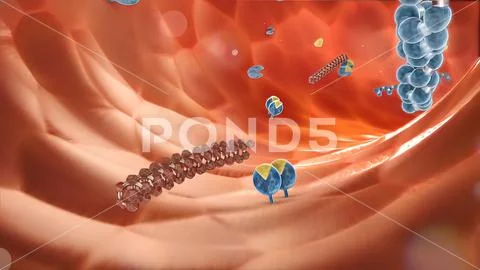 Pancreatic -Cell Electrical Activity and Insulin Secretion: Royalty ...