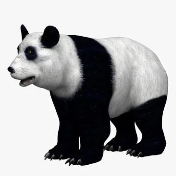 3D Model: Panda ~ Buy Now #91526235 | Pond5
