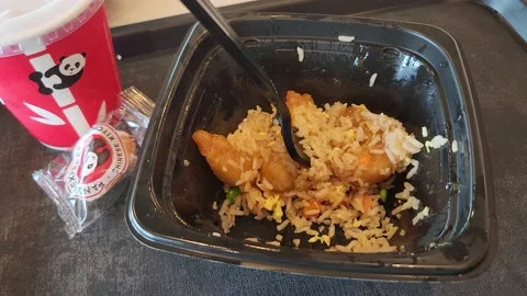 Red Panda Lady Stock Videos – Royalty-Free HD & 4K Videos