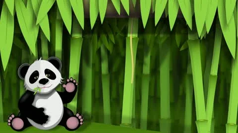 Panda School Video Stock Videos – Royalty-Free HD & 4K Videos