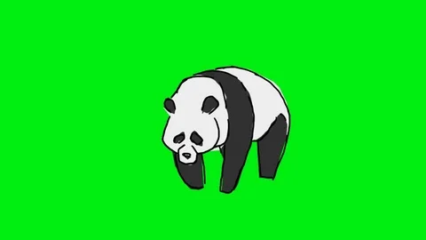 Panda School Video Stock Videos – Royalty-Free HD & 4K Videos