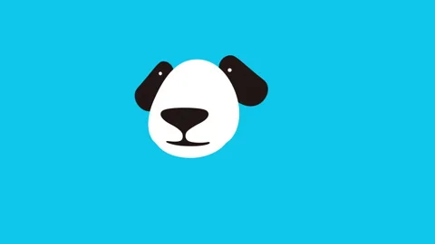 Panda Face Vector Stock Videos – Royalty-Free HD & 4K Videos