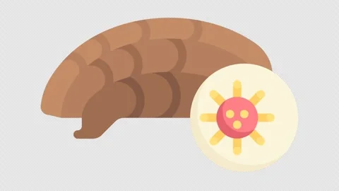 Pangolin Animation | Stock Video | Pond5