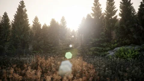 Panning animation shot of a forest - 3d ... | Stock Video | Pond5