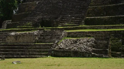 Panning, medium shot of the Jaguar Templ... | Stock Video | Pond5