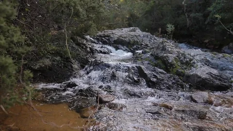 Panning Brothers Stock Videos – Royalty-Free HD & 4K Videos