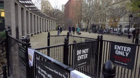 Big Dog Park Stock Videos – Royalty-Free HD & 4K Videos | Pond5