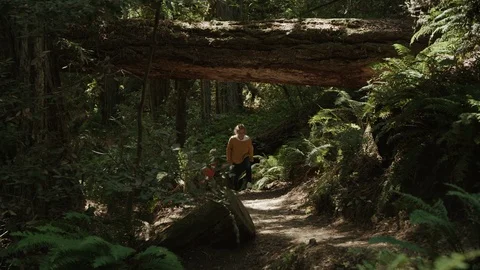 Panning shot of boy and girl holding han... | Stock Video | Pond5