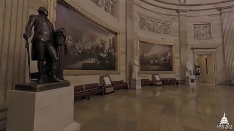 A panning wide angle shot around the rot... | Stock Video | Pond5