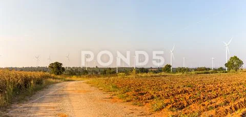 Panorama of beautiful wind turbine on the field in sunset time ...