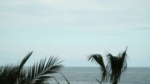 Panorama of the evening sea. In the fore... | Stock Video | Pond5