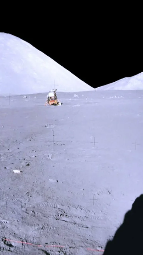 Picture Of Vertical Stock Videos – Royalty-Free HD & 4K Videos