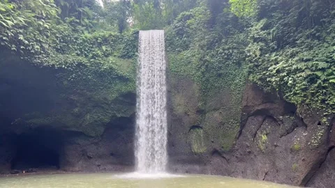 Panoramic scene waterfall in rainforest.... | Stock Video | Pond5