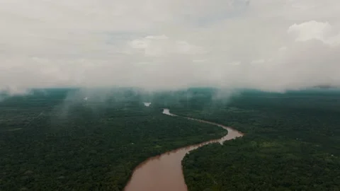 Panoramic View Of Amazon Rainforest With... | Stock Video | Pond5