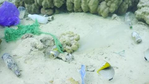 Panoramic view, Plastic pollution on bea... | Stock Video | Pond5