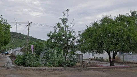 A panoramic view of a vervet or long-tai... | Stock Video | Pond5